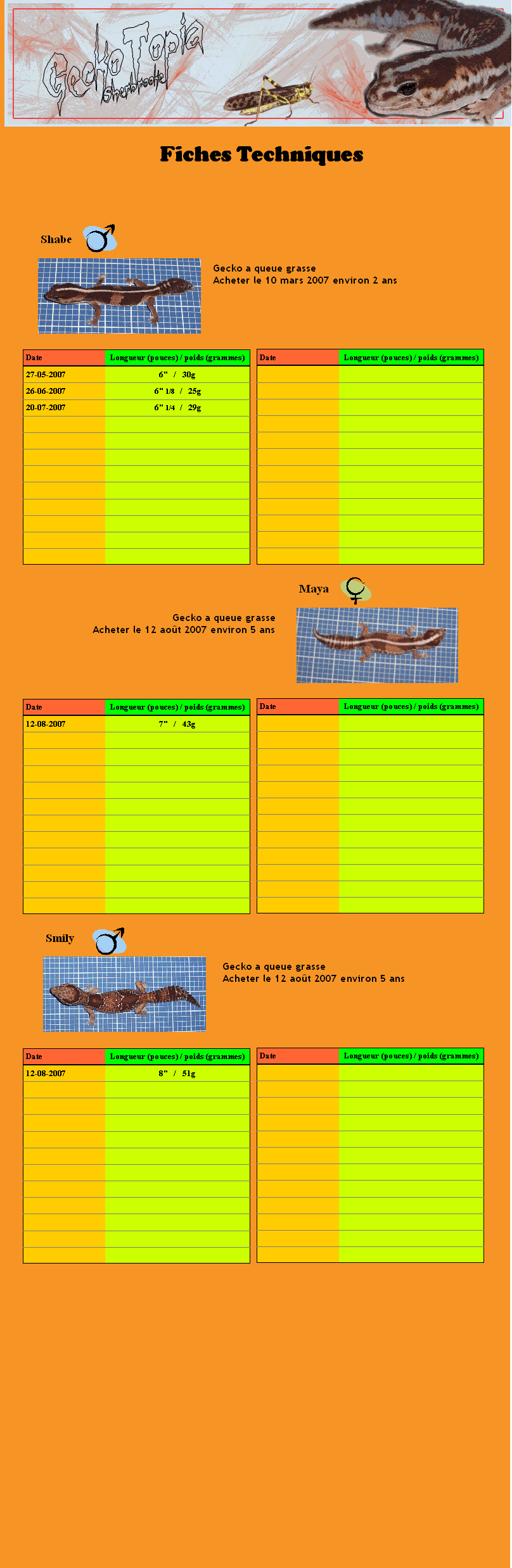 GeckoTopia - Fiches techniques GeckoTopia - Fiches techniques